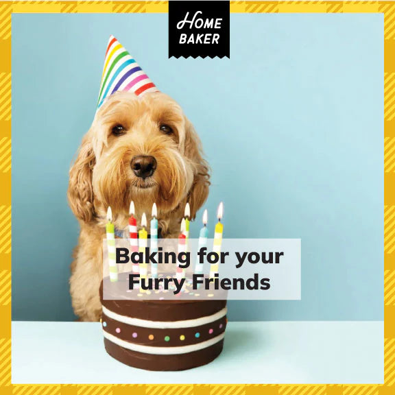 Bake for your pet to show you love them – Homebaker